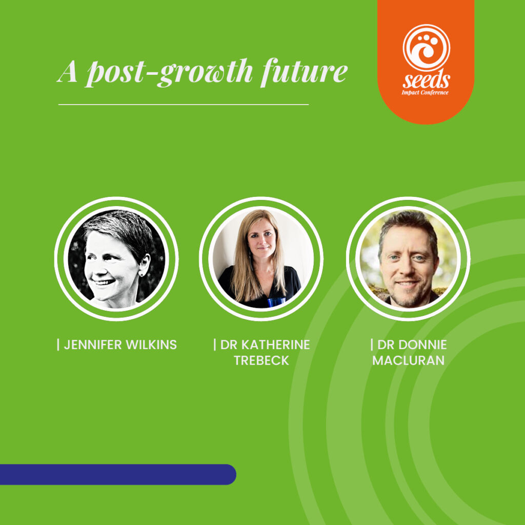 A post-growth future and what it means for larger business: Seeds ...
